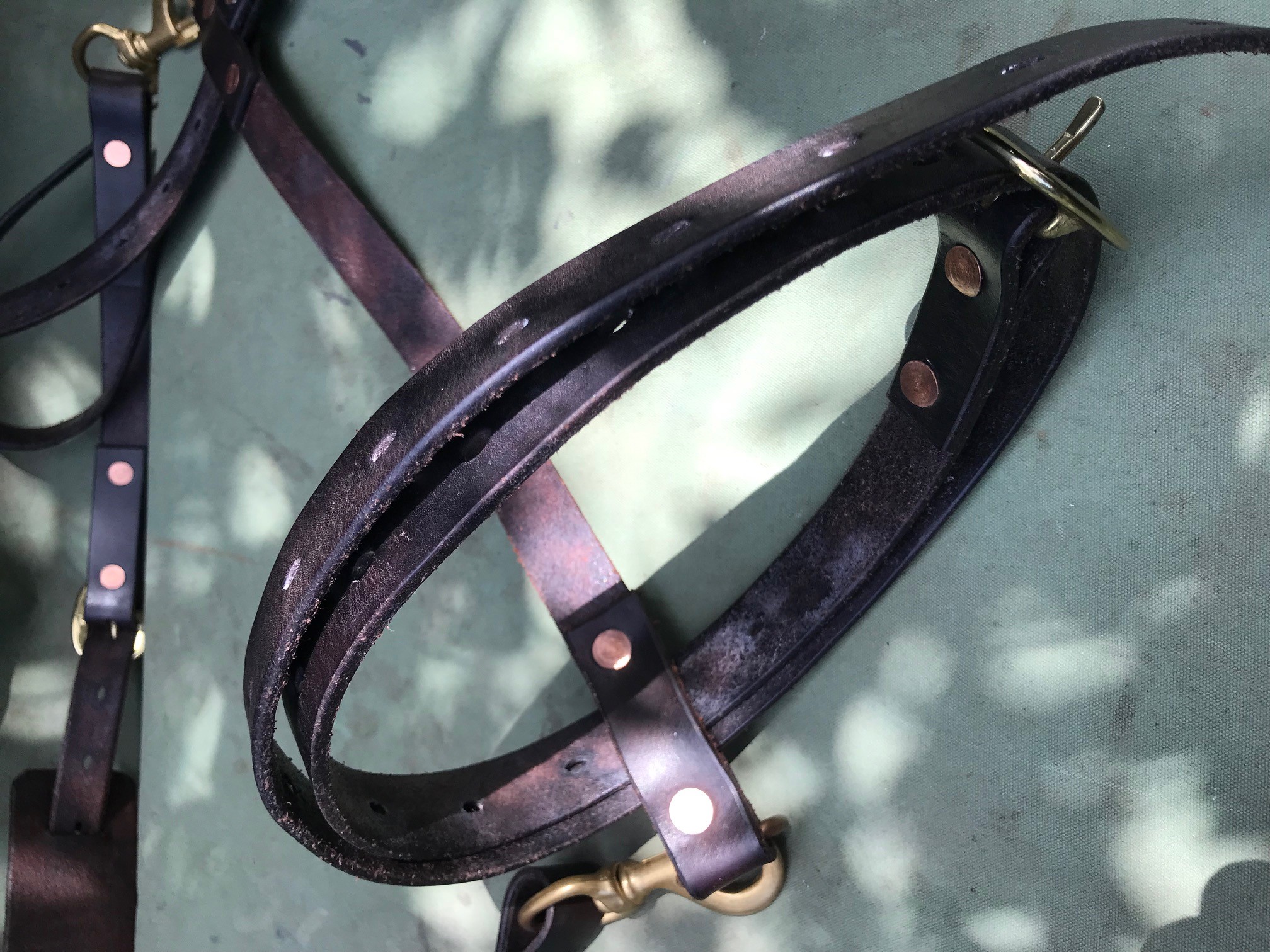 Howling Dingo Bedroll / Swag straps – Serat Bushcraft