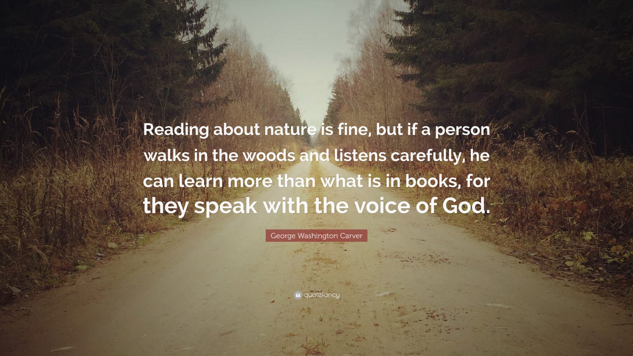 Nature Literacy – Serat Bushcraft