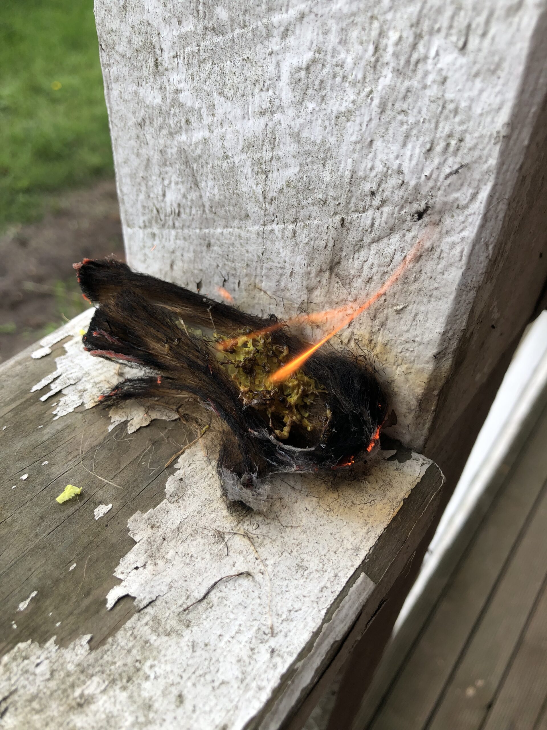 Emergency Plastic Tent Peg Stake Fire Lighter – Serat Bushcraft