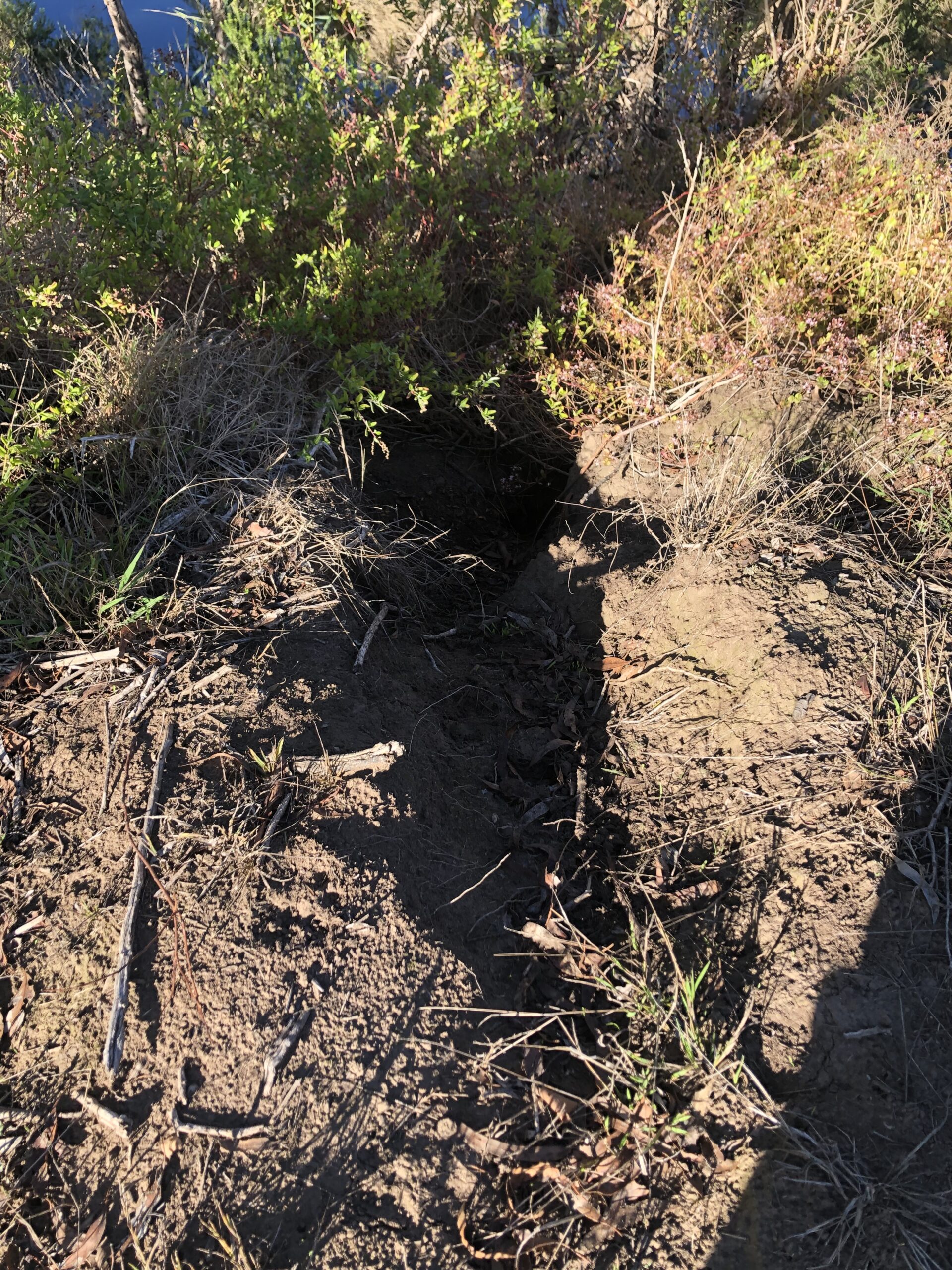 Random Hole Pictures – Serat Bushcraft