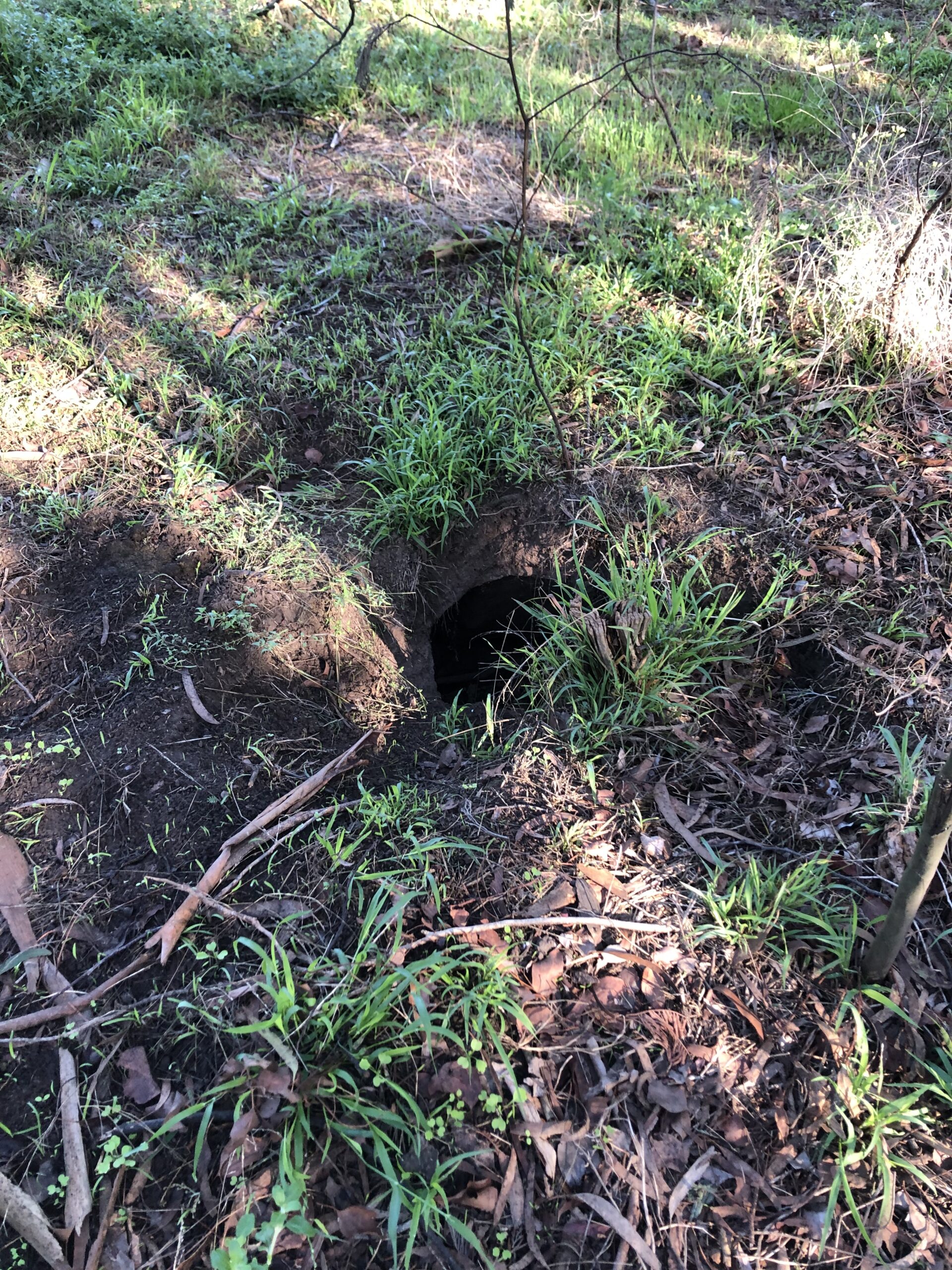 Random Hole Pictures – Serat Bushcraft