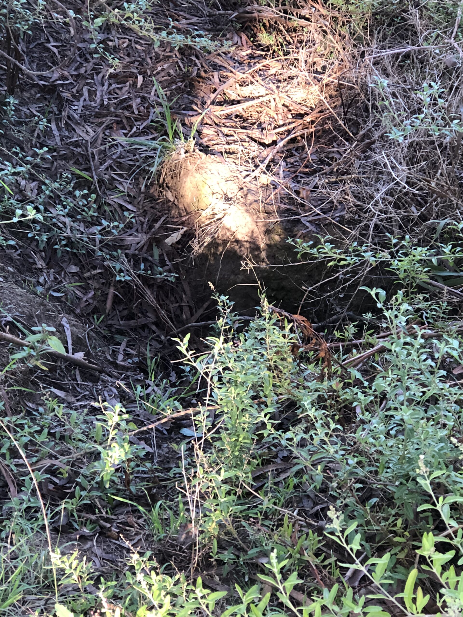 Random Hole Pictures – Serat Bushcraft