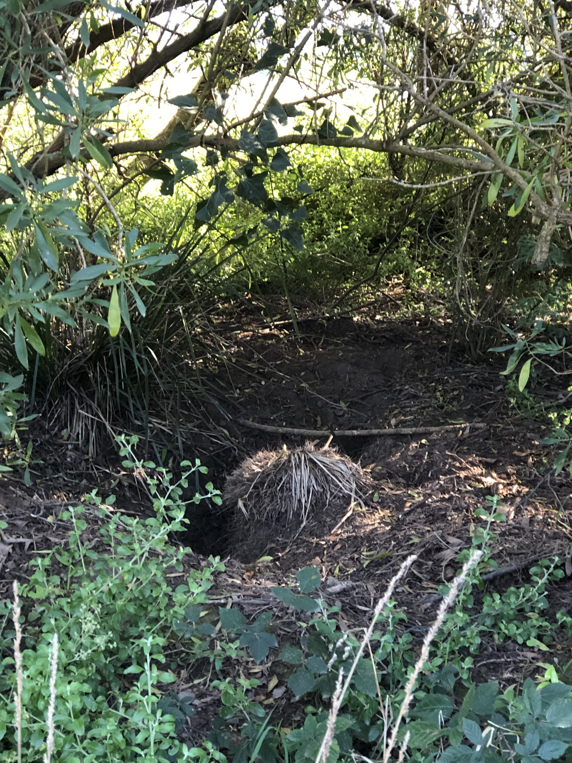 Random Hole Pictures – Serat Bushcraft