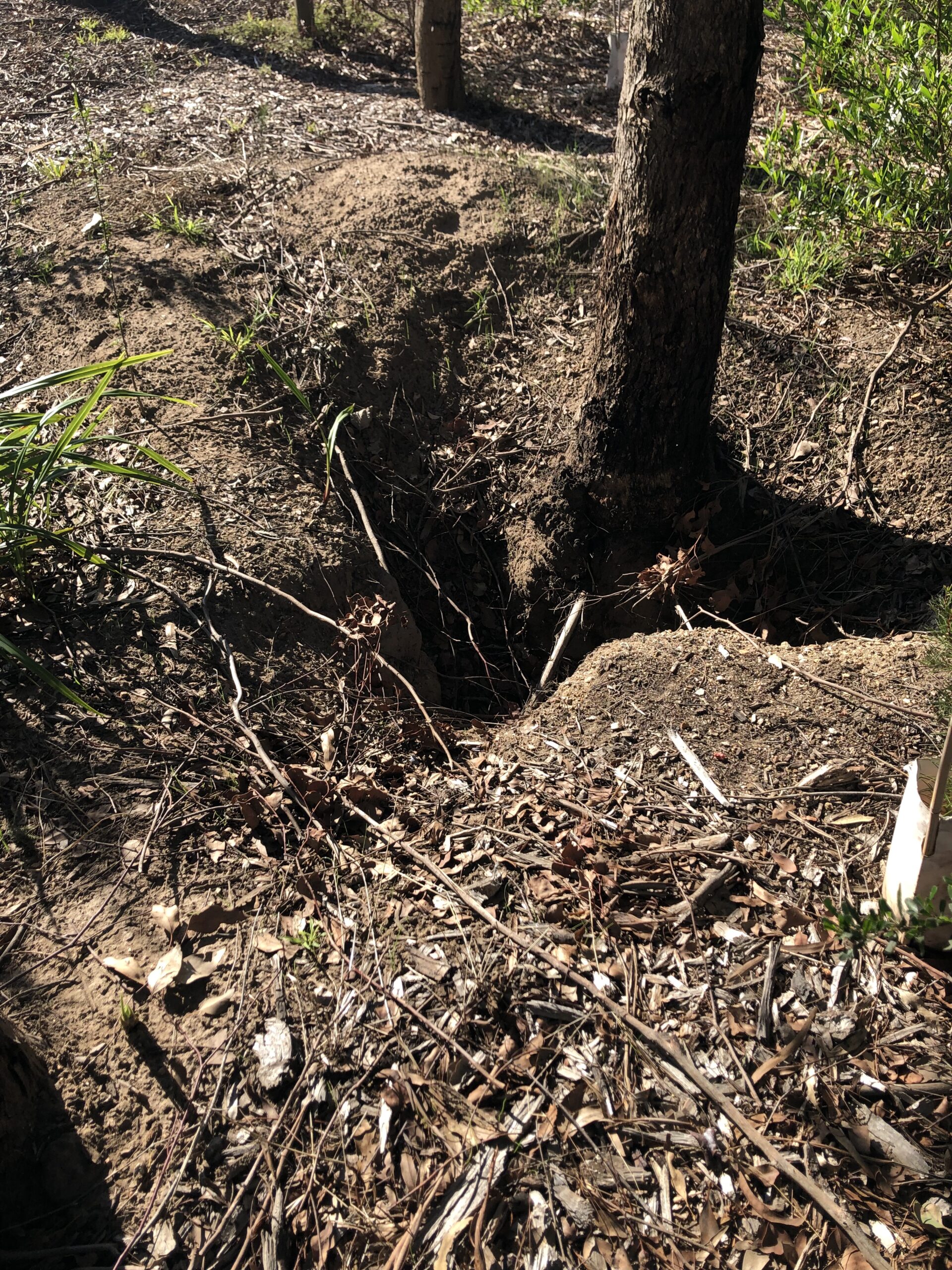 Random Hole Pictures – Serat Bushcraft